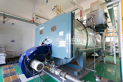 6 Ton Steam Boiler Fuel Oil in Egypt - Diesel Oil Fired Boiler
