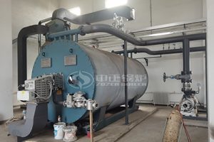 Petrochemical 1.2 Million Kcal Hot Oil Heater Design - Diesel Oil Fired ...