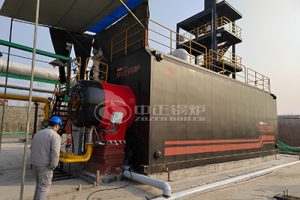 8 Ton Coal Fired Steam Boiler South Africa - Diesel Oil Fired Boiler