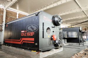Potato Processing 18 Tons Water Tube Boiler - Diesel Oil Fired Boiler