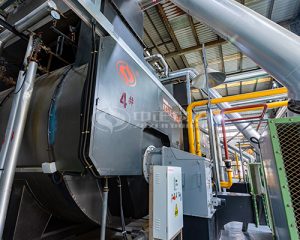 Industrial Oil Boilers with a 10 Ton Capacity - Diesel Oil Fired Boiler